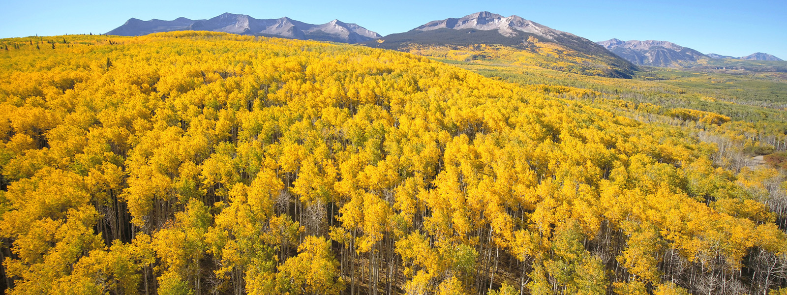 The Green Planet: Episode 03: Seasonal World - Filmzine